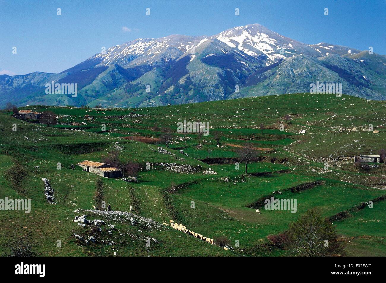 Montare Monte Miletto (2070 metri), il Parco Regionale del Matese ...