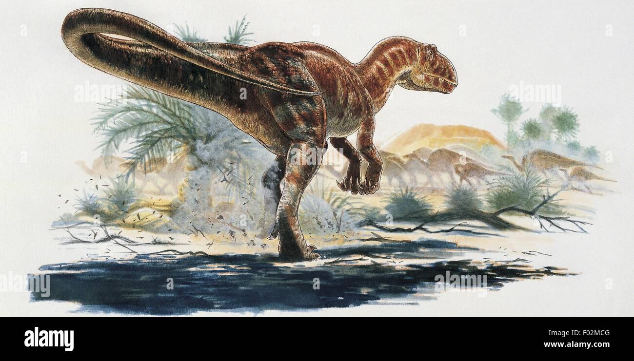 Zoopaleontologia - del periodo Cretaceo - i dinosauri ...