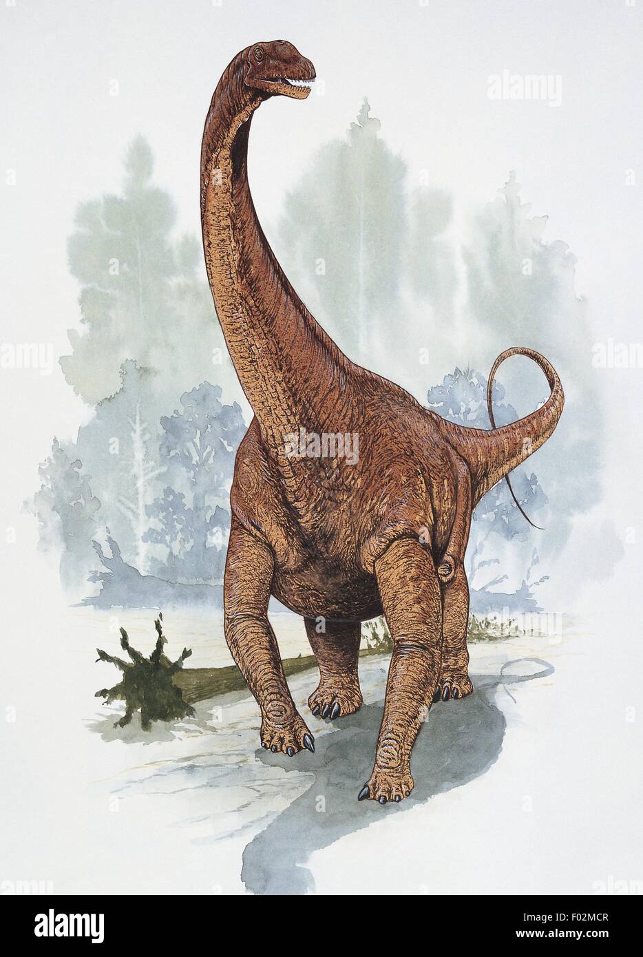 Zoopaleontologia - del periodo Cretaceo - i dinosauri - Argentinosaurus ...