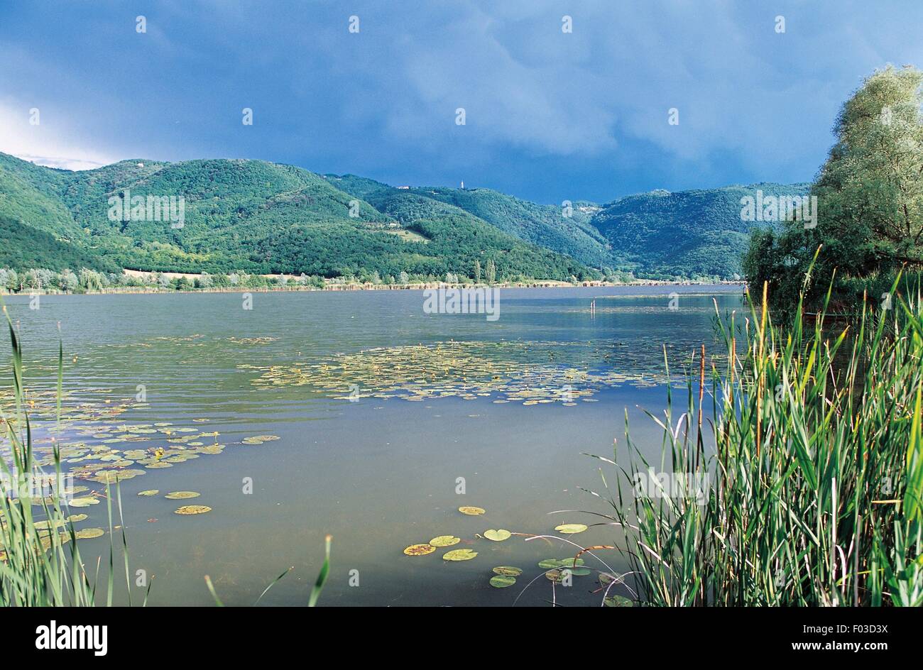 Lago di fimon immagini e fotografie stock ad alta risoluzione - Alamy