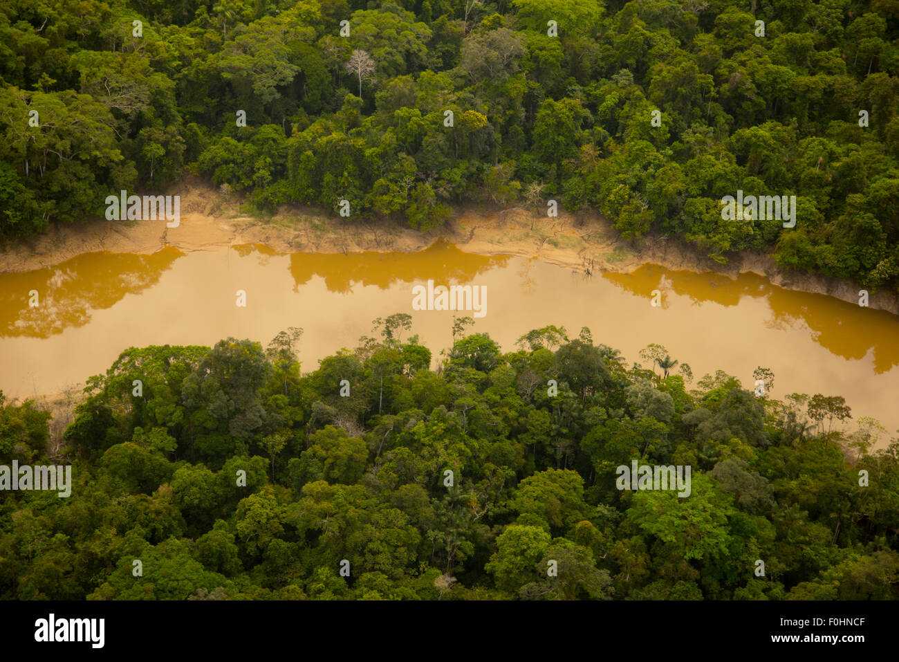 Foresta pluviale aerea amazzonica foresta primaria tra iquitos immagini ...