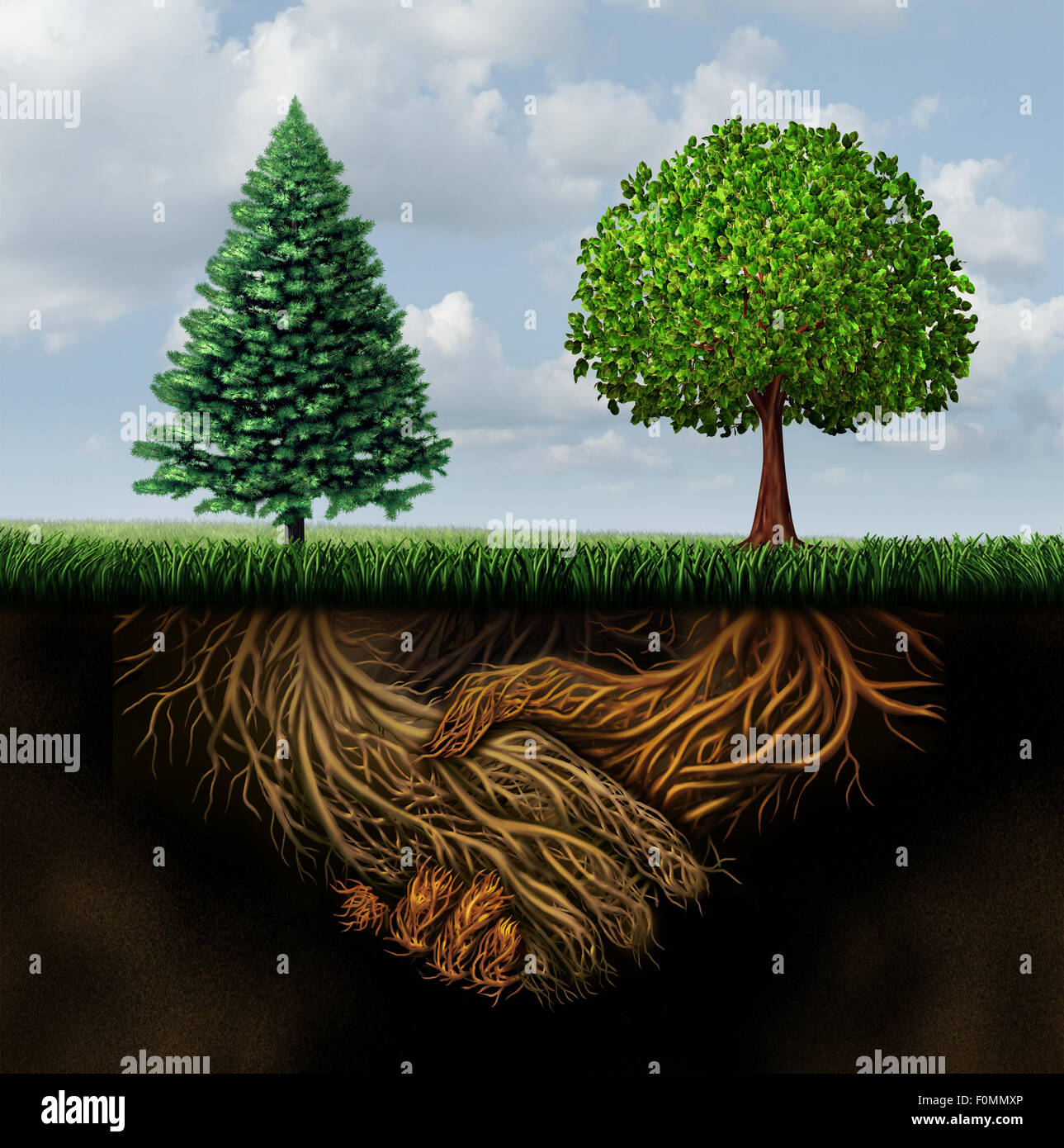 Alberi diversi immagini e fotografie stock ad alta risoluzione - Alamy