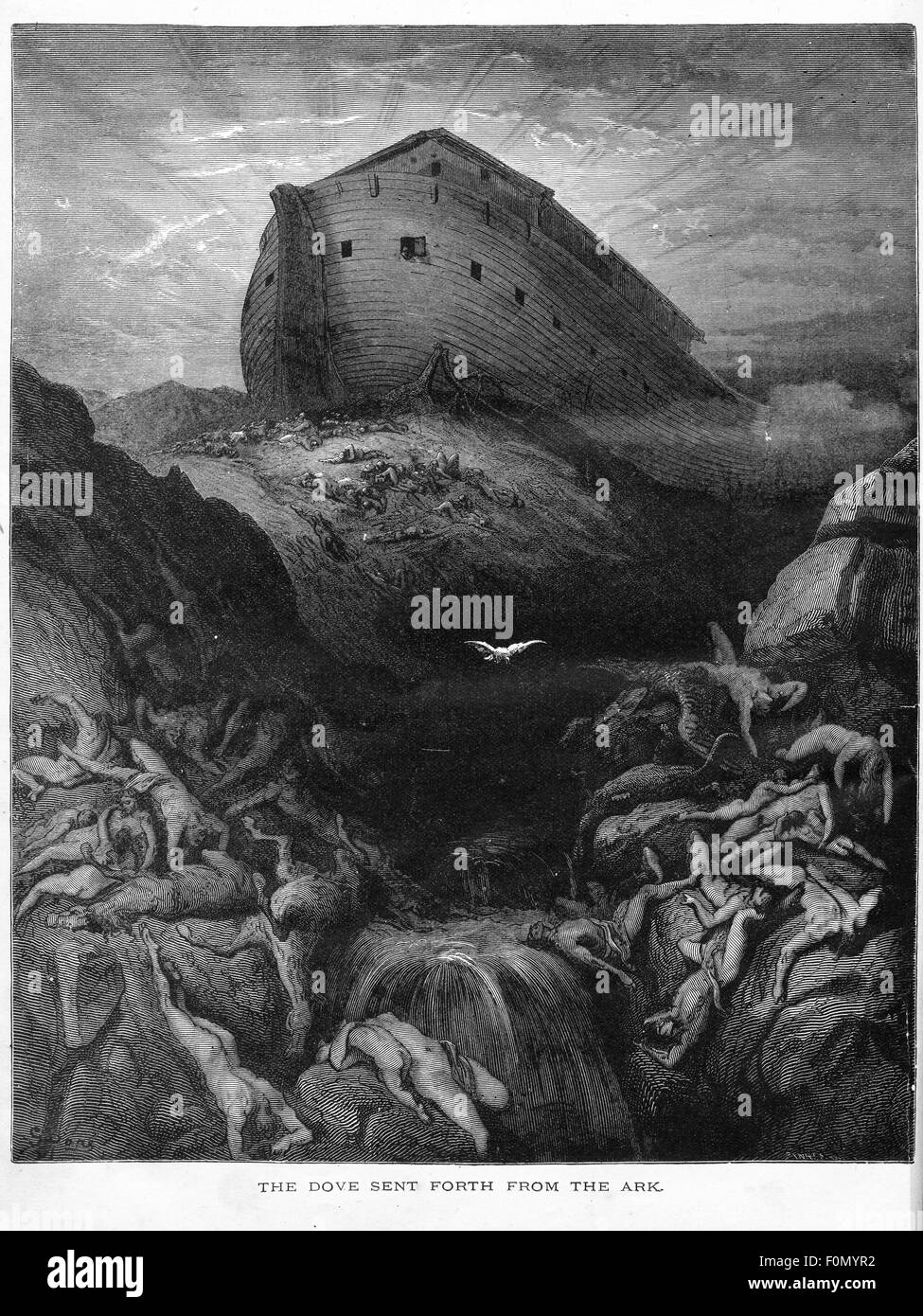 Noè e la colomba Foto e Immagini Stock in Bianco e Nero - Alamy