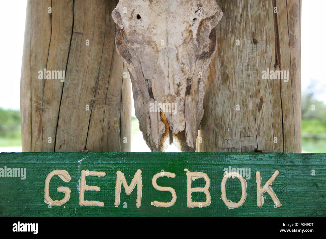 Anatomia degli animali scheletro immagini e fotografie stock ad alta ...
