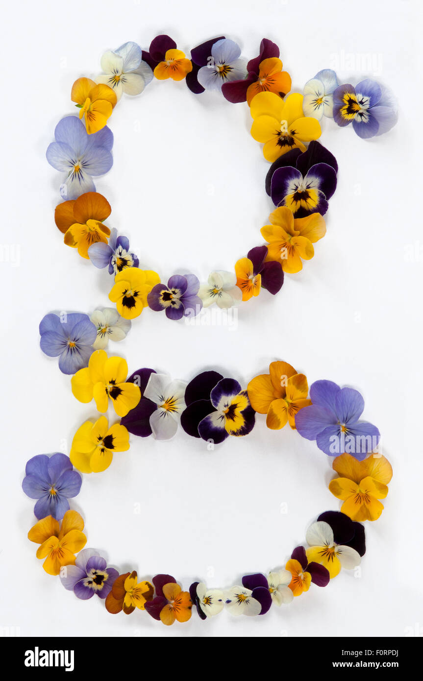Alfabeto floreale immagini e fotografie stock ad alta risoluzione - Alamy