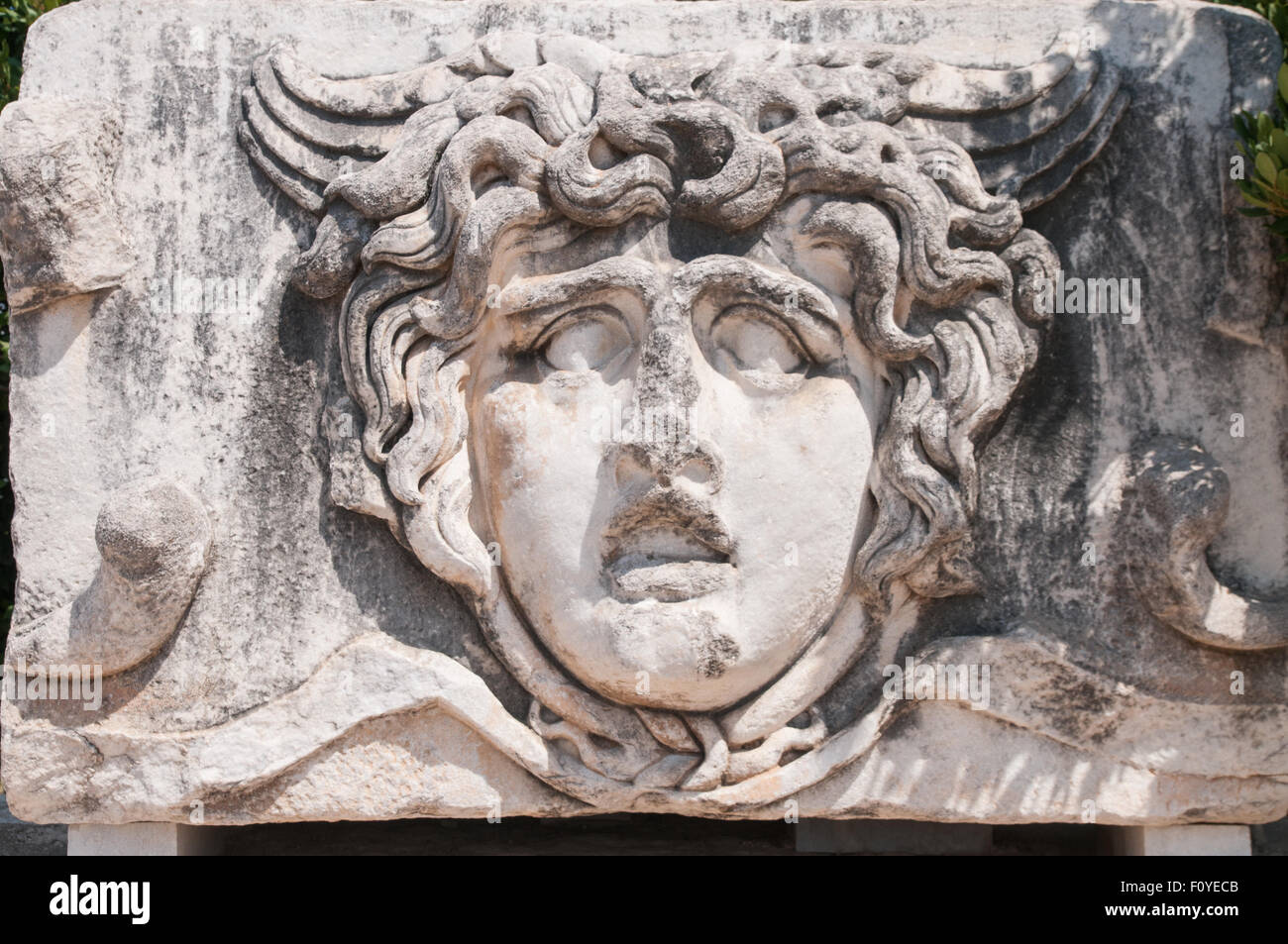Medusa gorgone immagini e fotografie stock ad alta risoluzione - Alamy