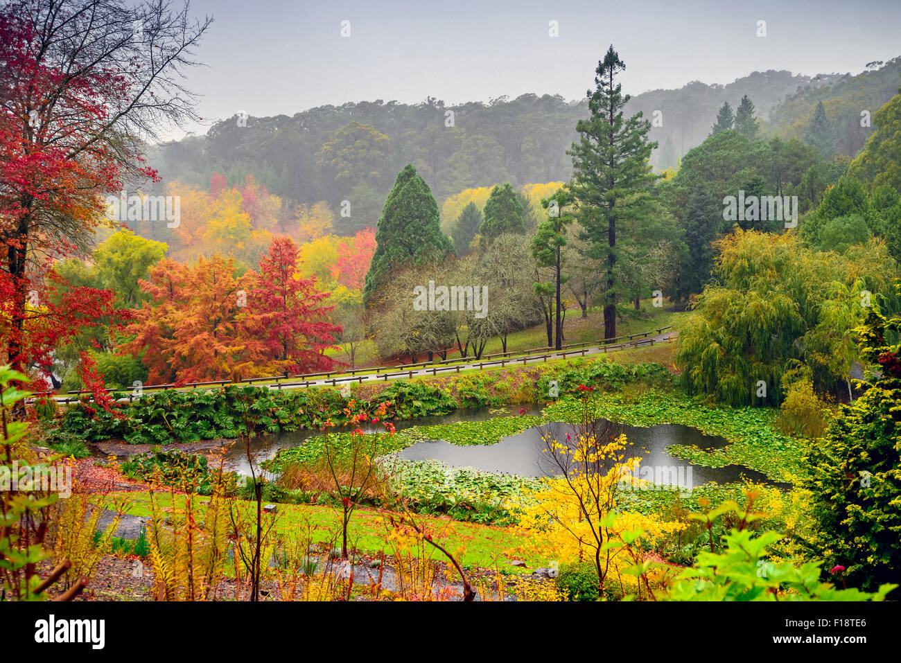 Paesaggio autunnale sotto la pioggia in colline di Adelaide Foto stock ...