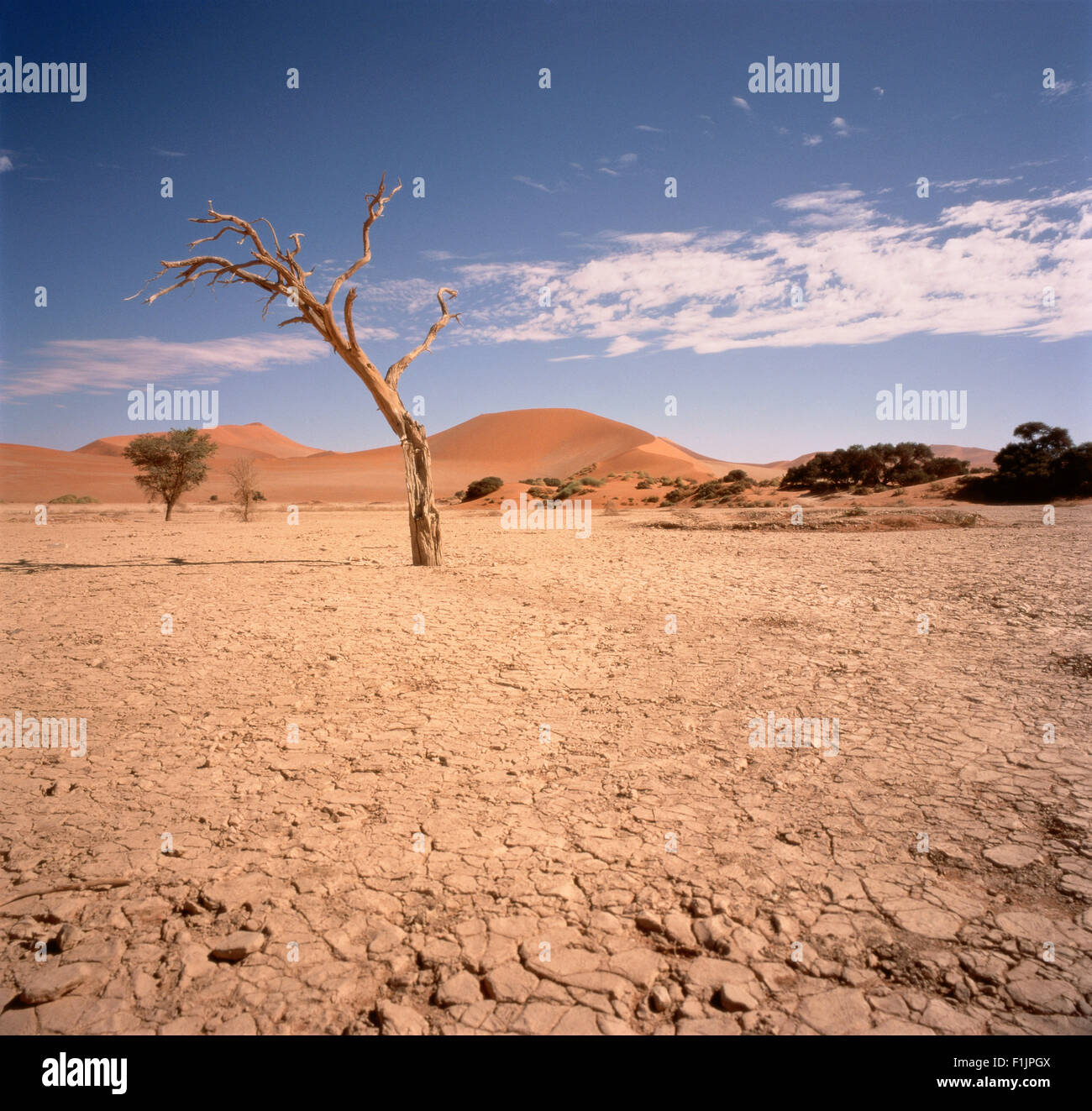 Deserto di namib immagini e fotografie stock ad alta risoluzione - Alamy
