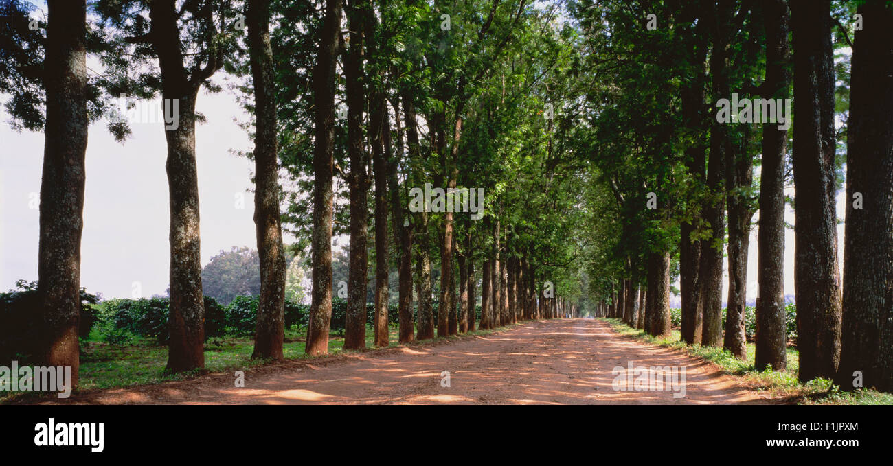 Una foderata immagini e fotografie stock ad alta risoluzione - Alamy
