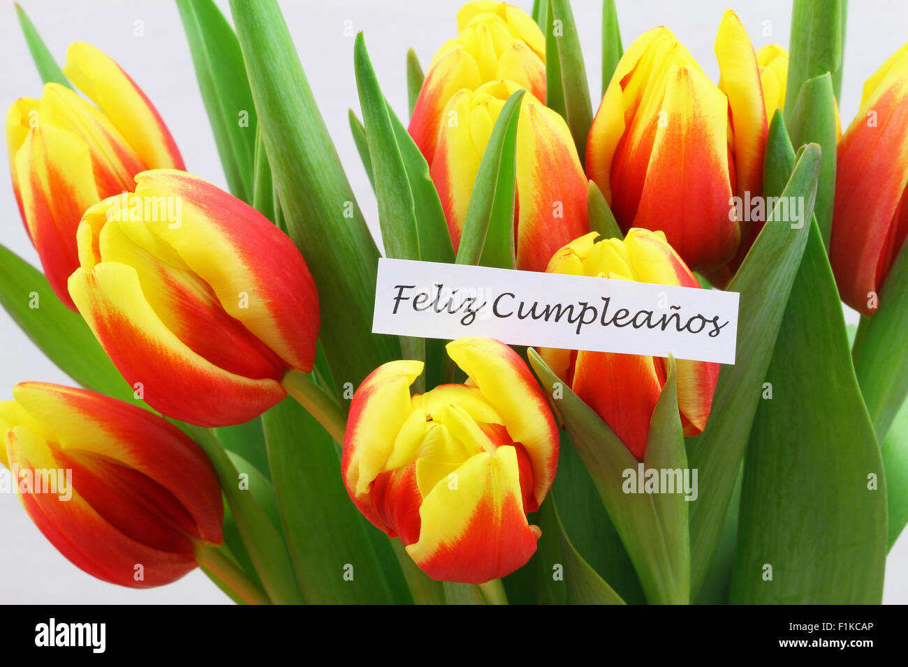 Feliz cumpleanos (che significa buon compleanno in spagnolo) card con ...