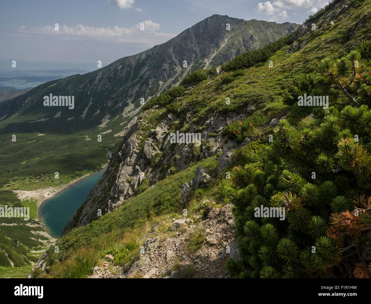 Riserva naturale dei tatra immagini e fotografie stock ad alta ...