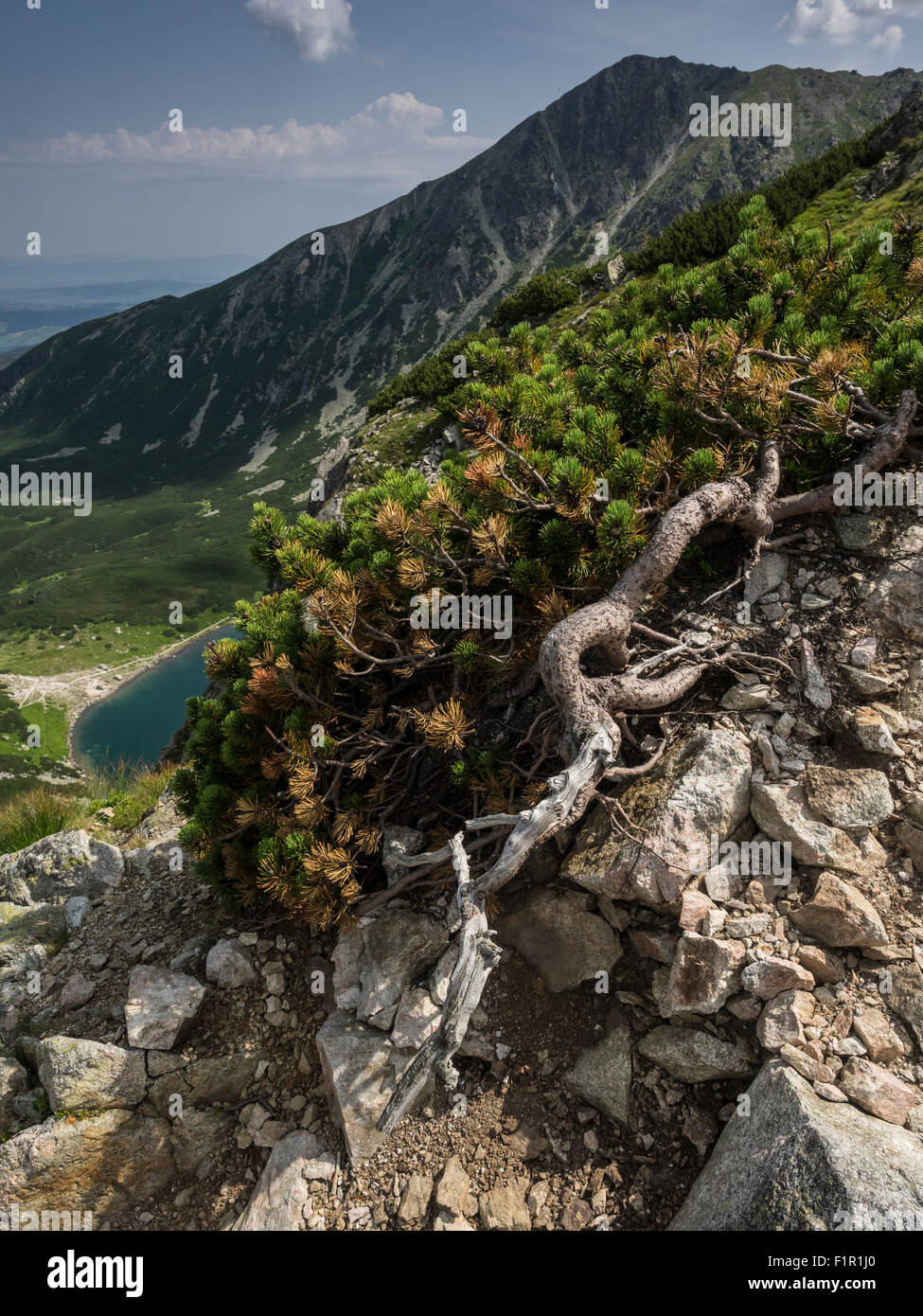 Riserva naturale dei tatra immagini e fotografie stock ad alta ...