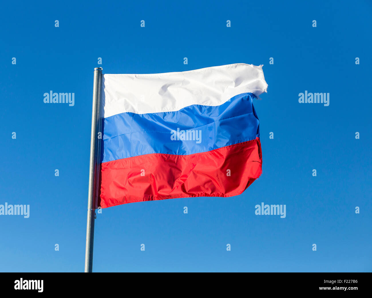 Bandiera federazione russa immagini e fotografie stock ad alta ...