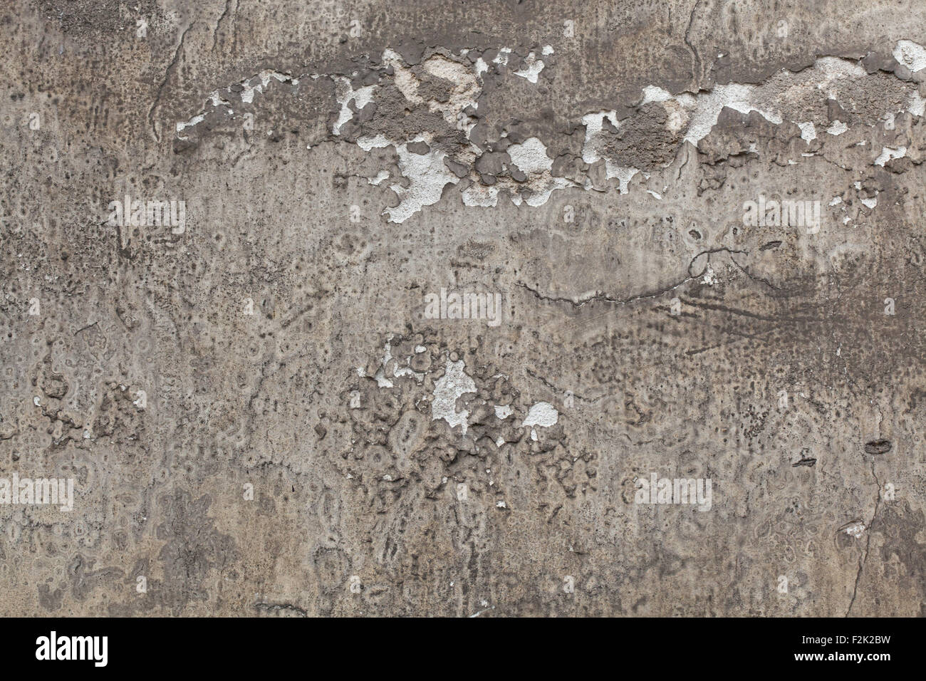 Vecchio grigio parete in stucco con intonaco rotto. Texture di sfondo ...