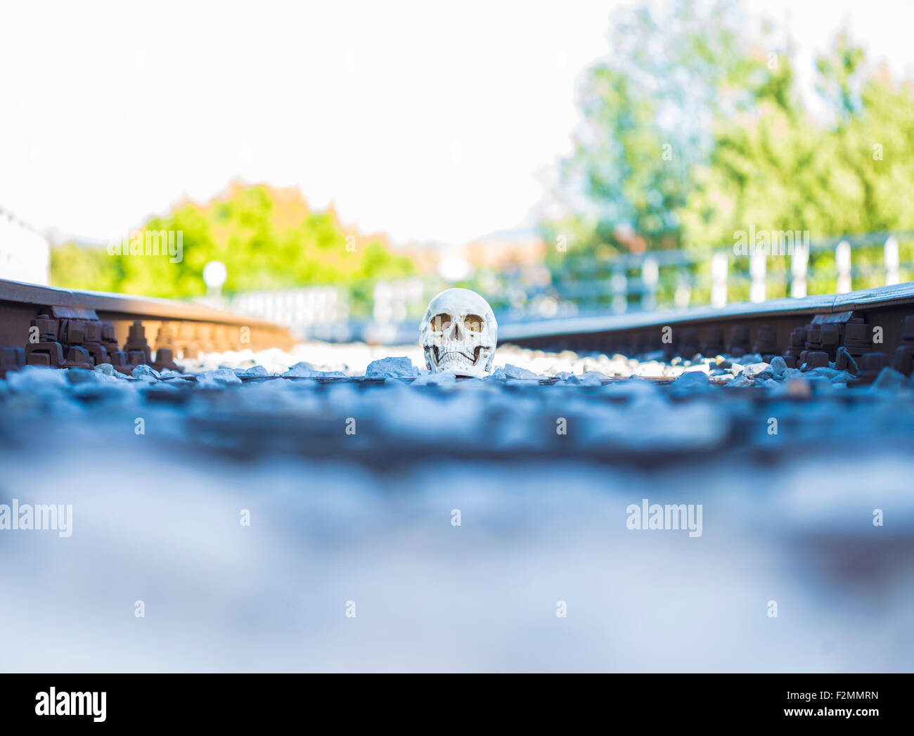 Persona morta immagini e fotografie stock ad alta risoluzione - Alamy