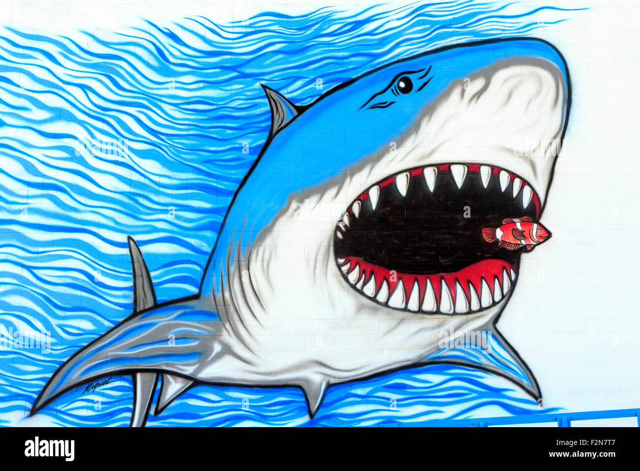 Shark drawing immagini e fotografie stock ad alta risoluzione - Alamy