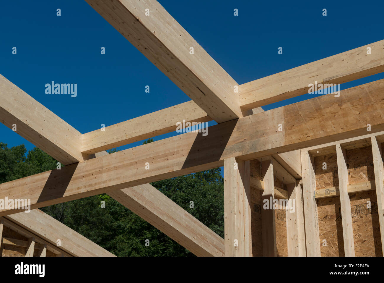Cross laminated timber immagini e fotografie stock ad alta risoluzione ...