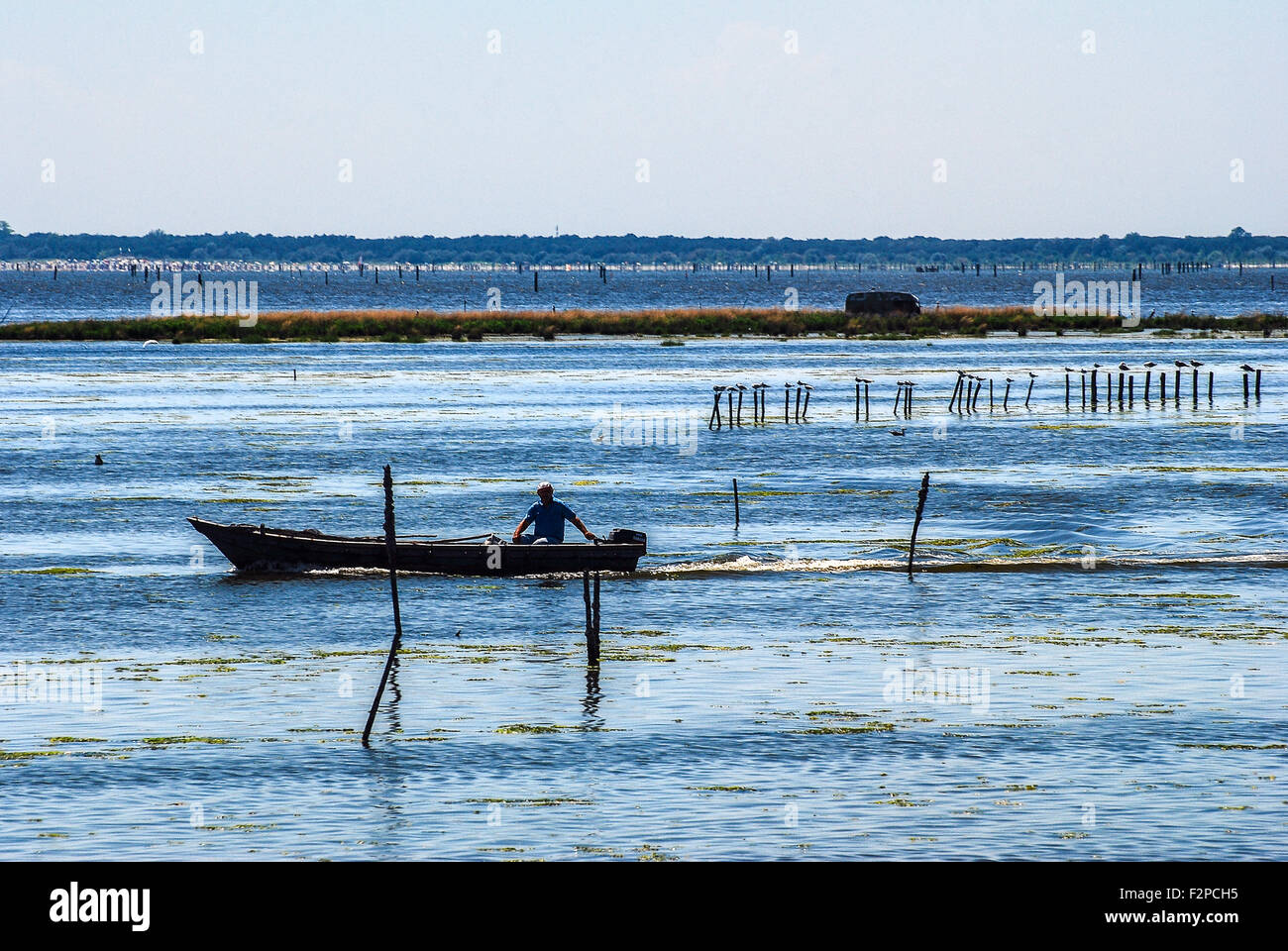 Delta fiume po immagini e fotografie stock ad alta risoluzione - Alamy