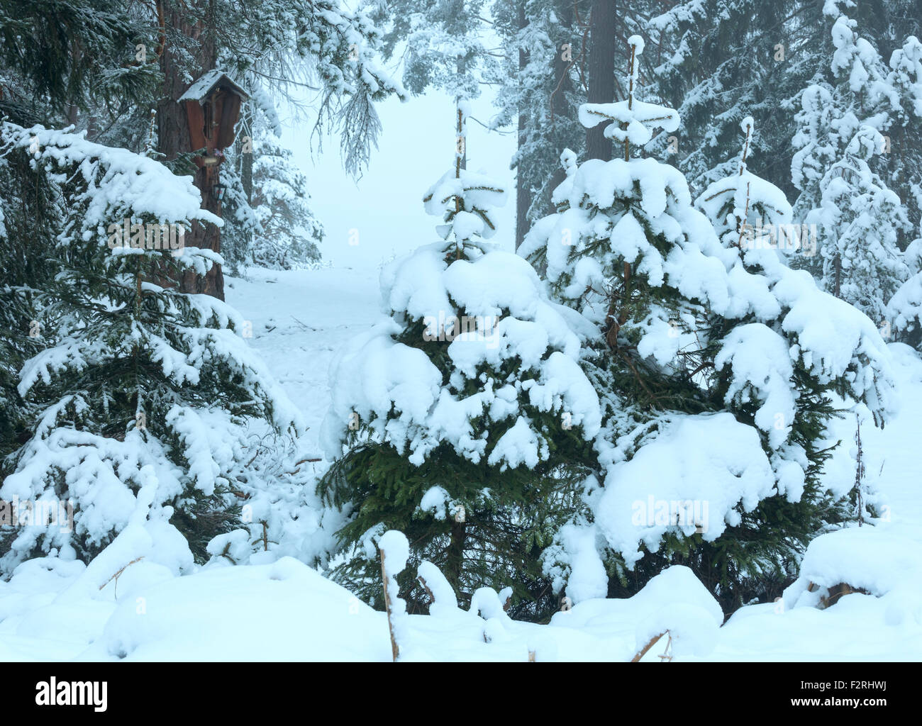 Inverno bosco innevato con abeti e la crocifissione di Gesù Cristo sul ...