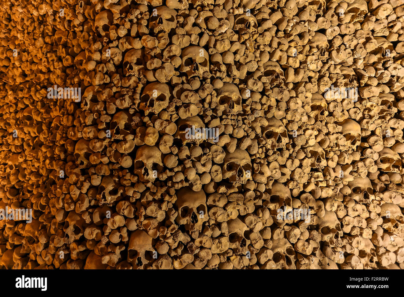 Vecchie ossa umane immagini e fotografie stock ad alta risoluzione - Alamy