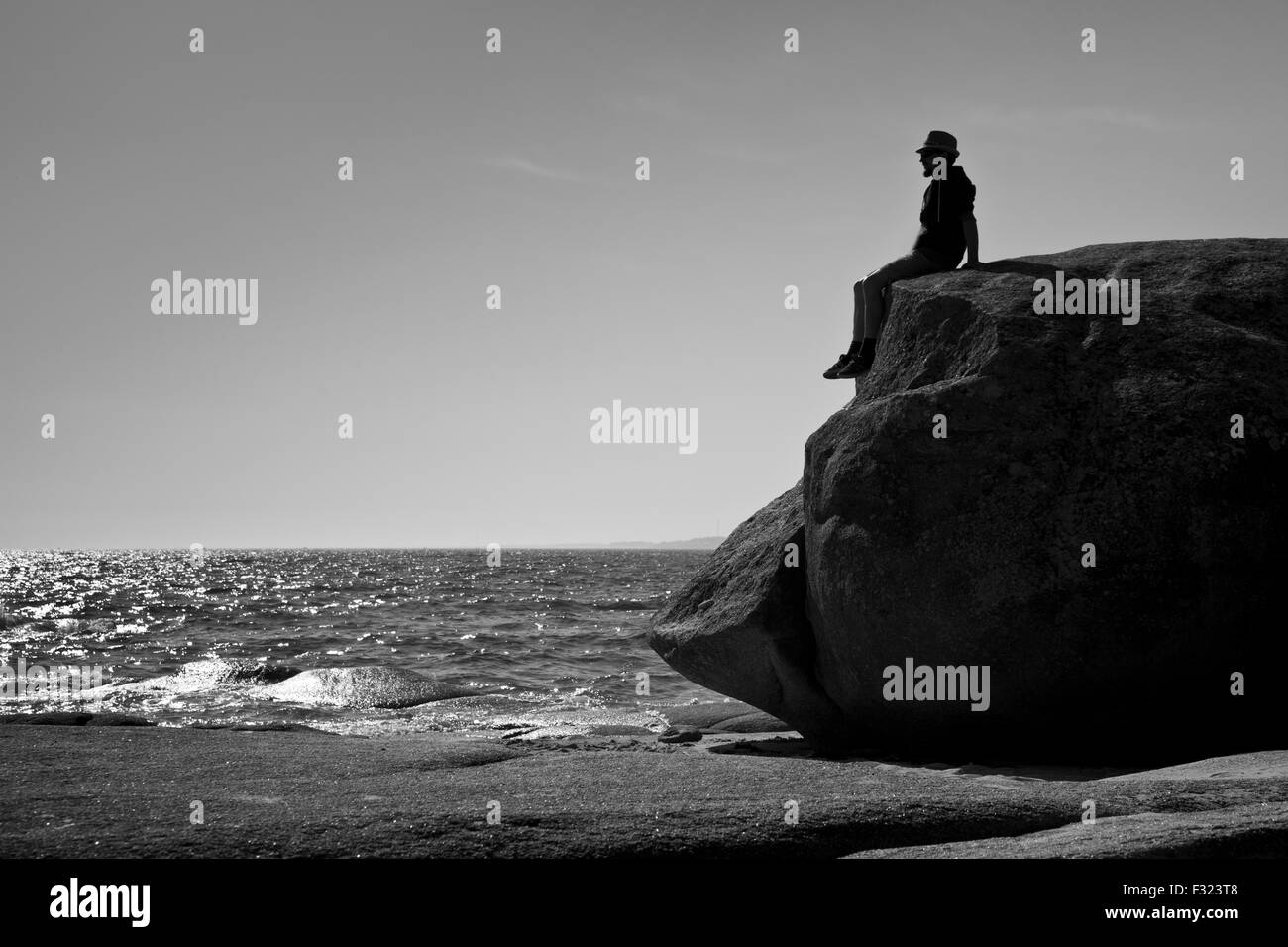 Seduto sulla roccia costiera immagini e fotografie stock ad alta ...