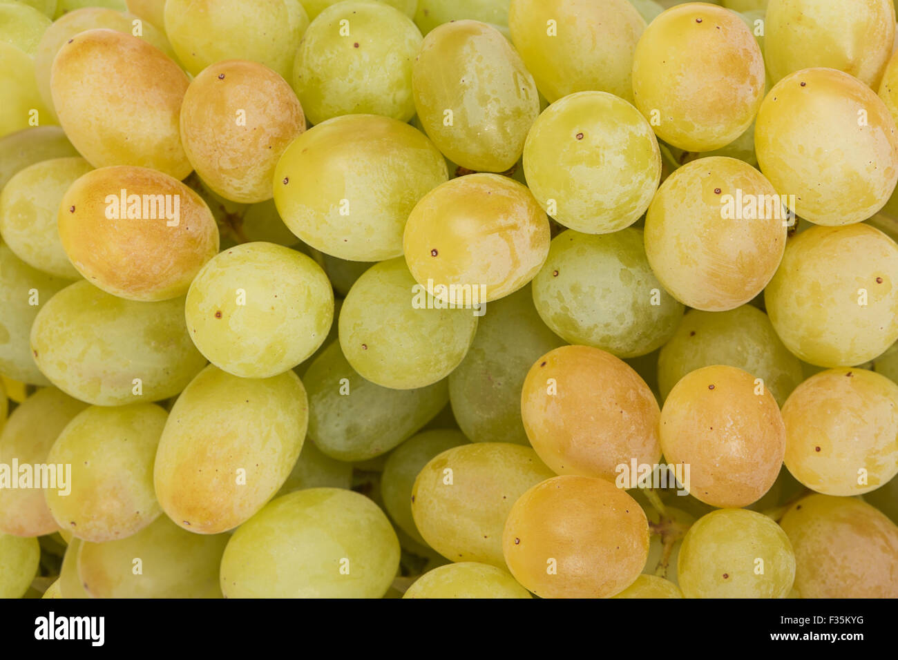 Succosa uva verde close-up isolato su uno sfondo bianco Foto stock - Alamy