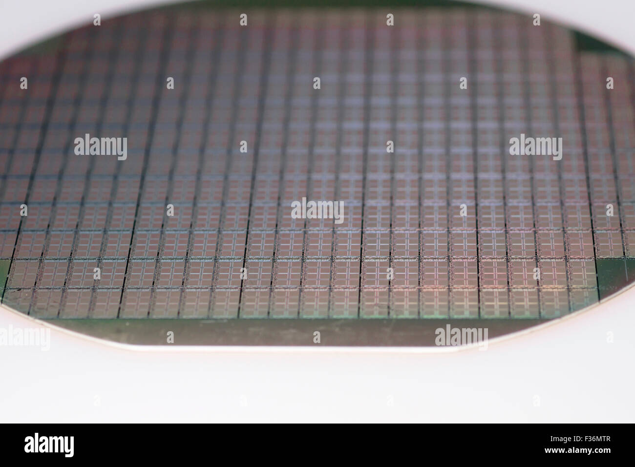 Silicon wafer immagini e fotografie stock ad alta risoluzione - Alamy