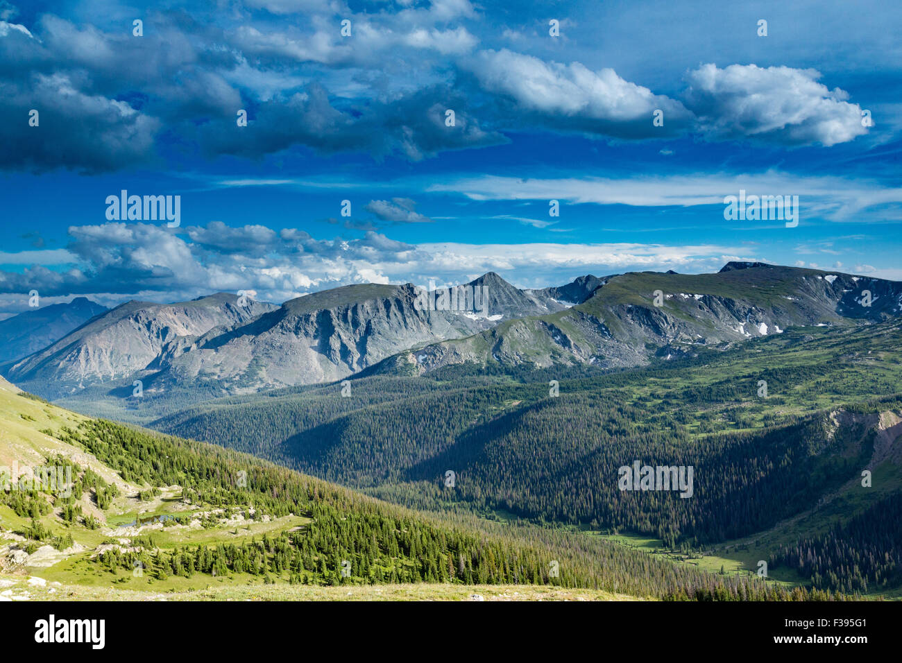 New Scenic 5 posti si affacciano su off Trail Ridge Road nel Parco ...