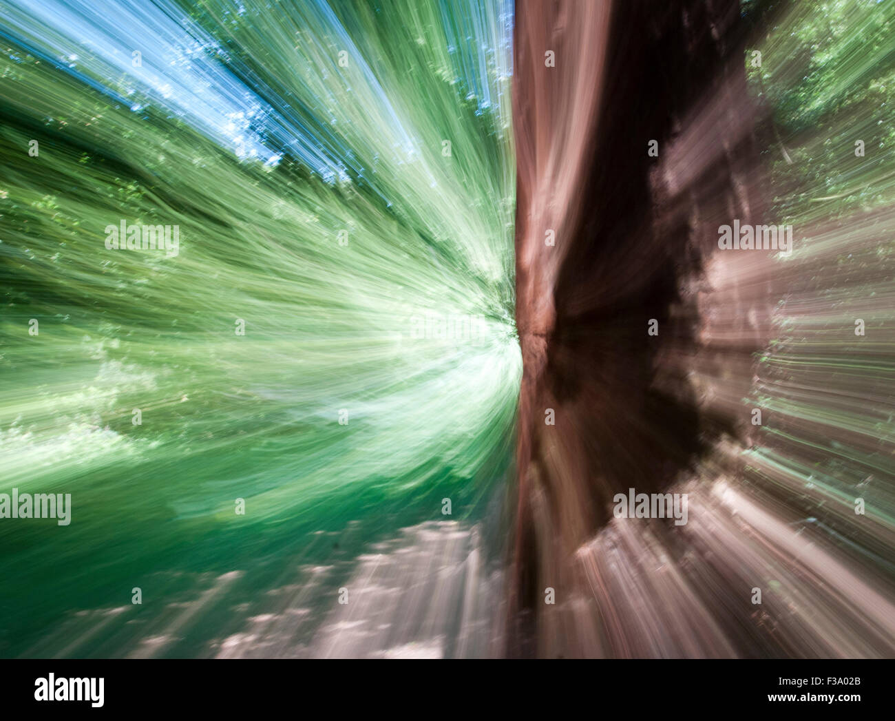 Radura boschiva o compensazione immagini e fotografie stock ad alta ...