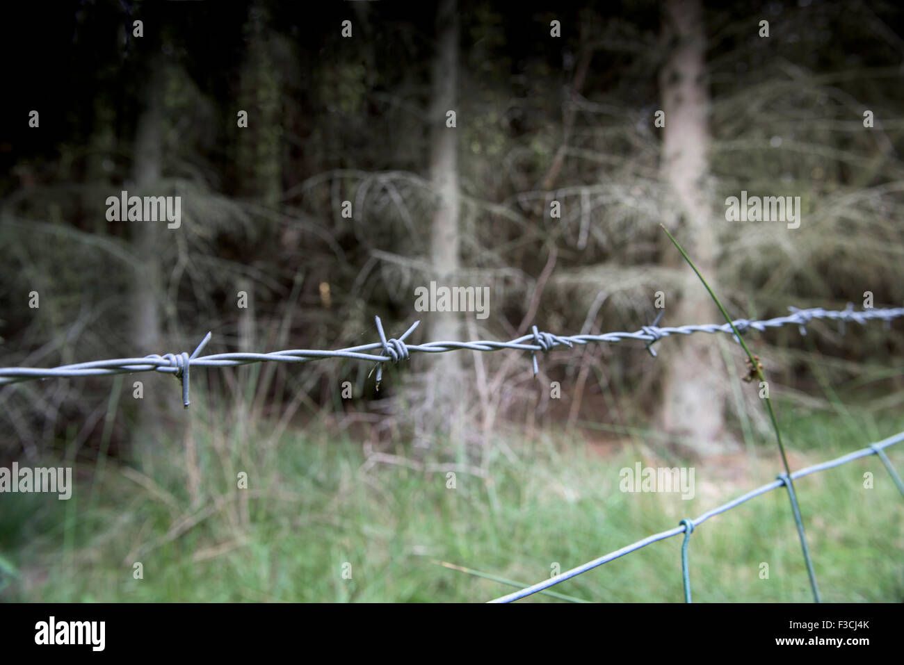 Recinzione perimetrale con filo spinato immagini e fotografie stock ad ...