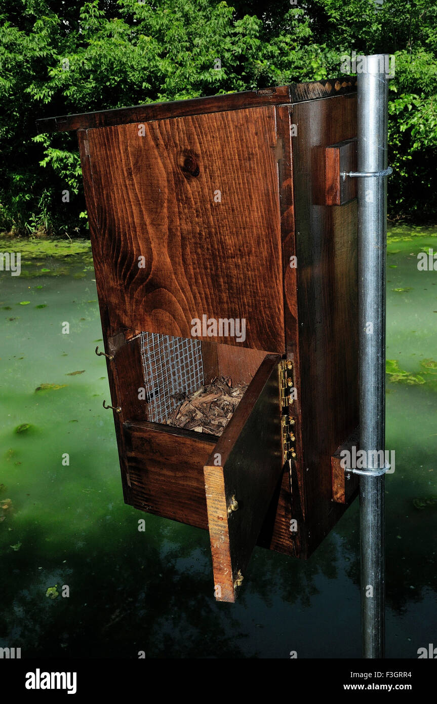 Anatra a casa immagini e fotografie stock ad alta risoluzione - Alamy