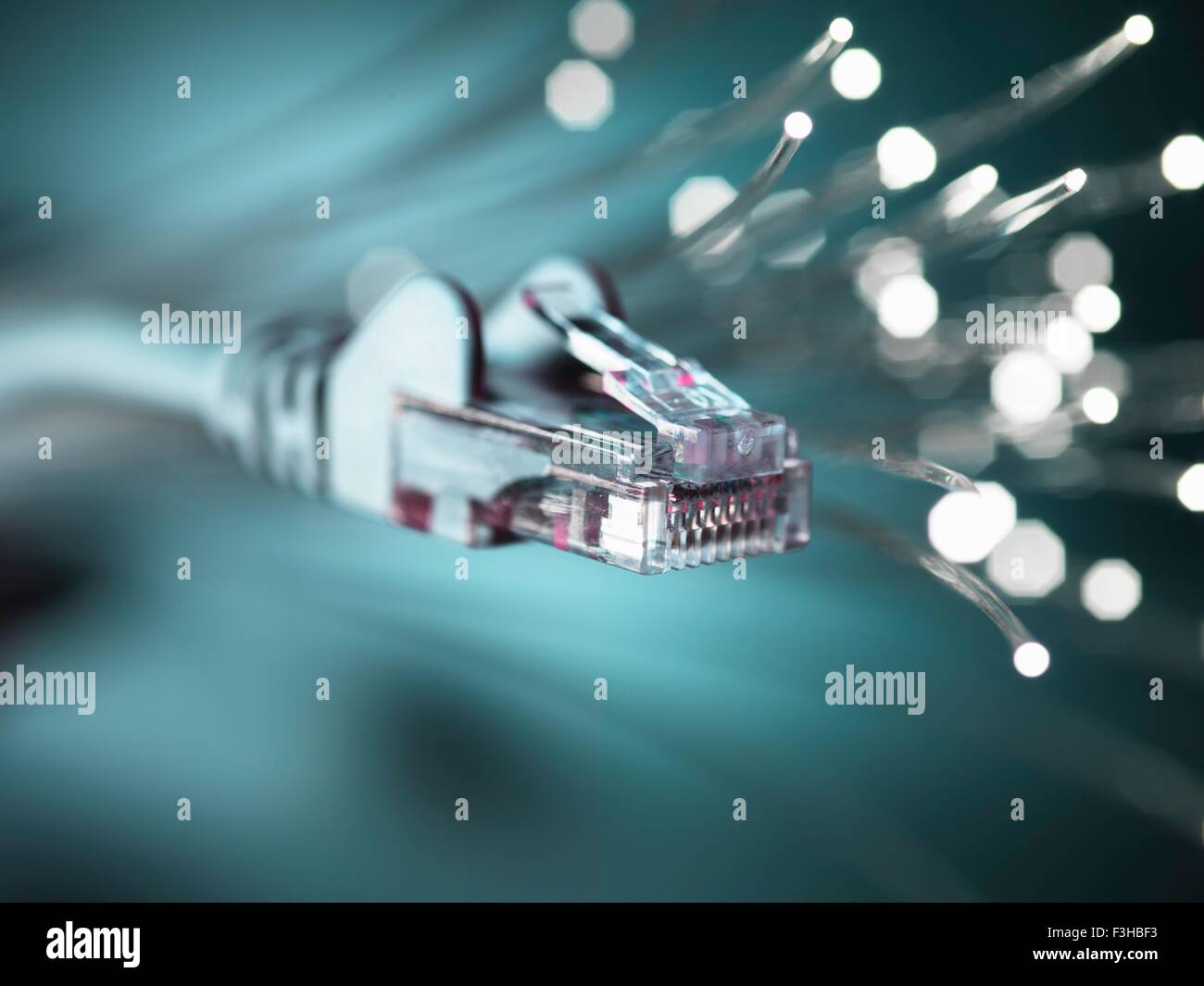 Rete delicata immagini e fotografie stock ad alta risoluzione - Alamy