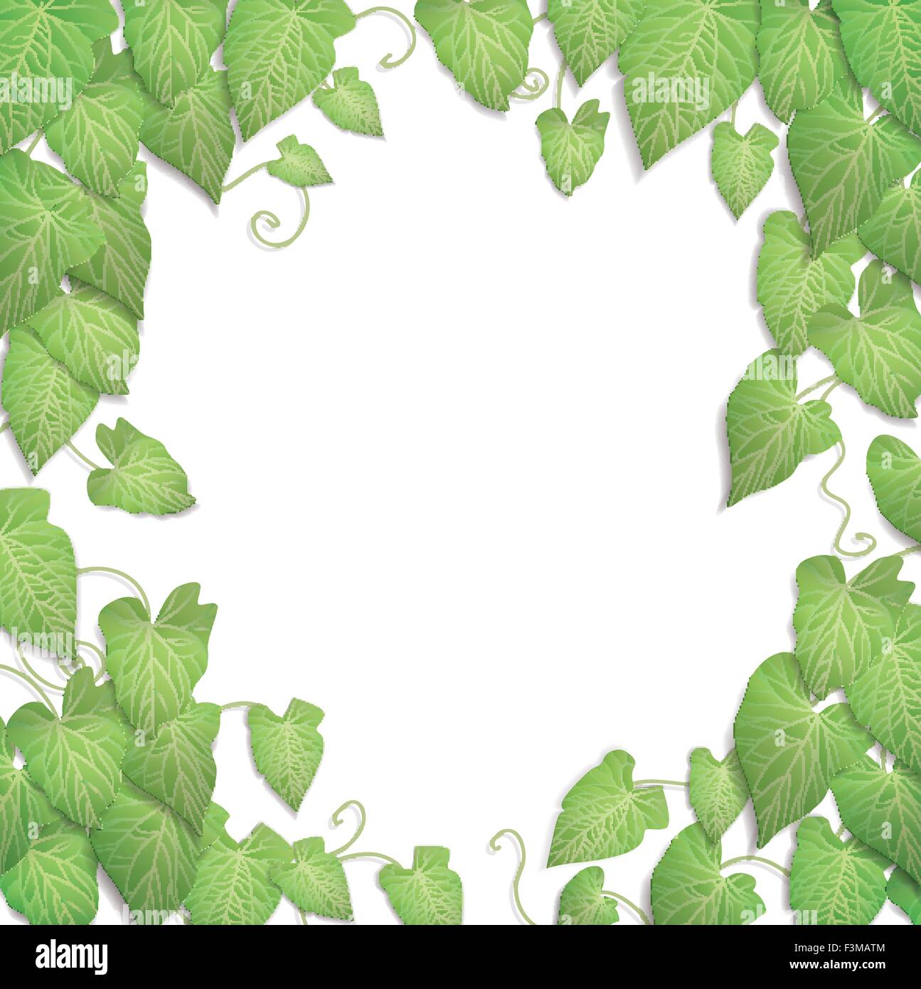 Texture foglie Immagini Vettoriali Stock - Alamy