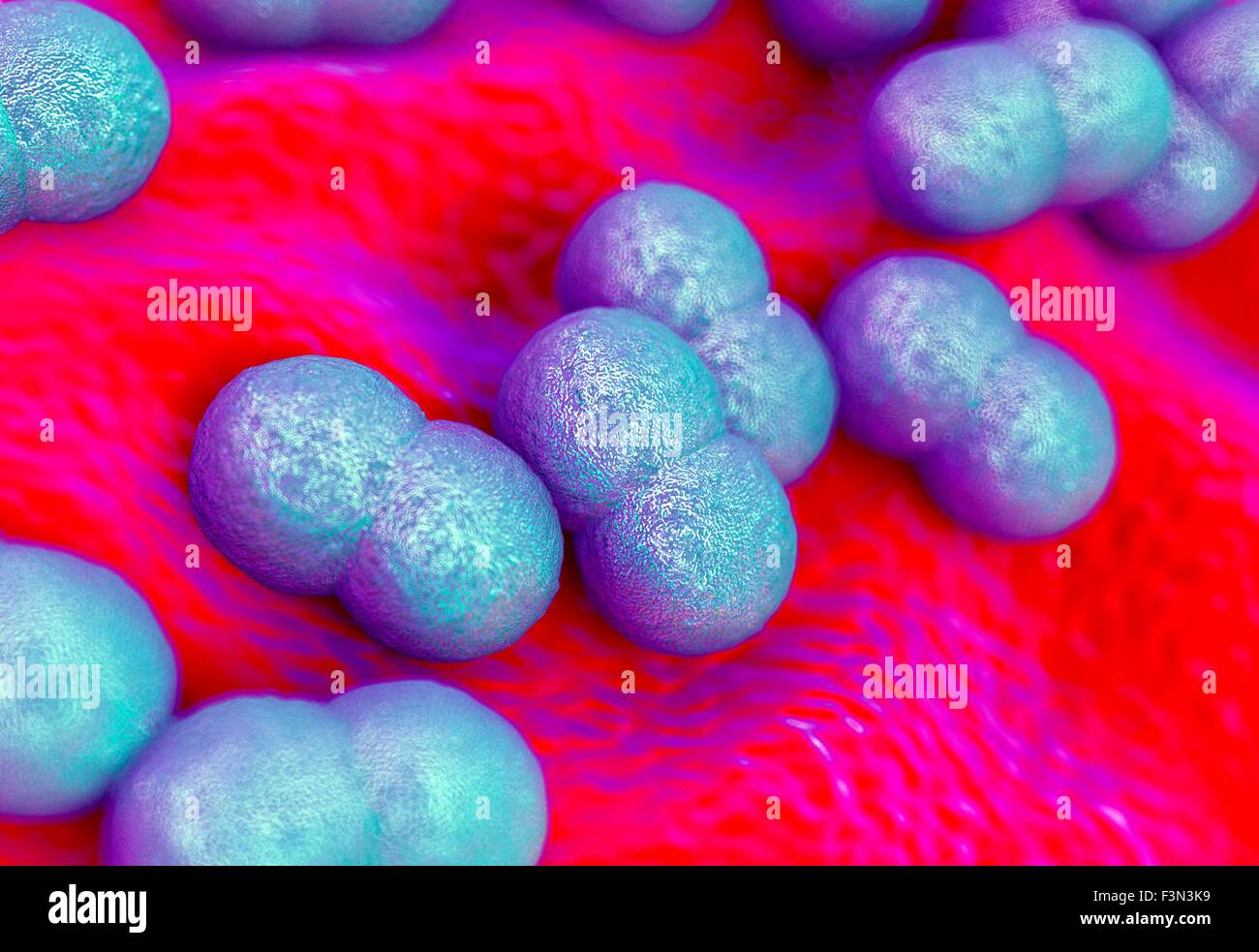 Stafilococco epidermidis immagini e fotografie stock ad alta ...