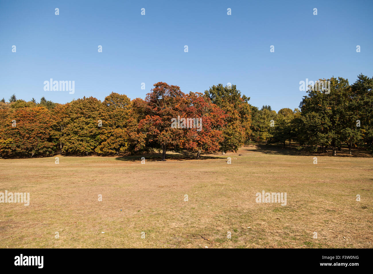 Inizio autunno autunno immagini e fotografie stock ad alta risoluzione ...