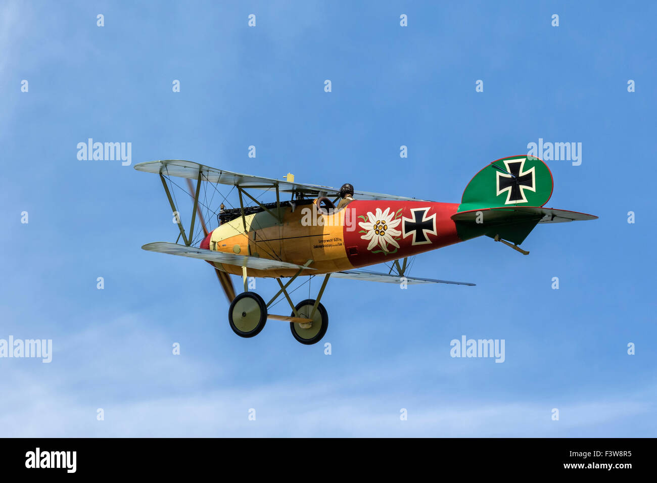 Combattente albatros immagini e fotografie stock ad alta risoluzione ...