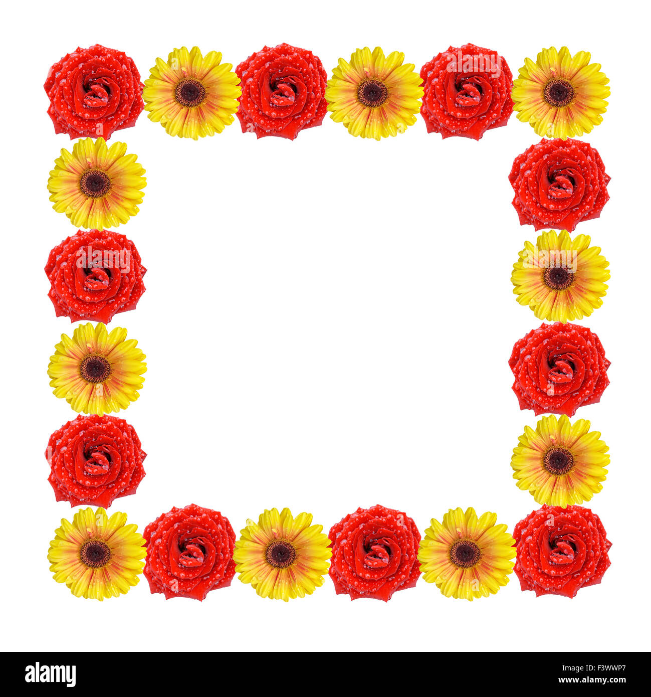 Fiori a cornice quadrata immagini e fotografie stock ad alta ...