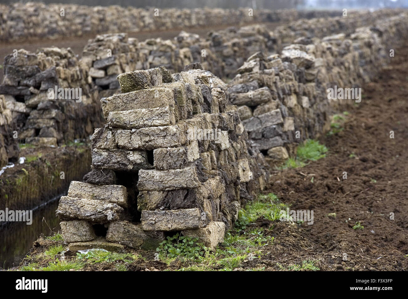 Raccolta della torba immagini e fotografie stock ad alta risoluzione ...