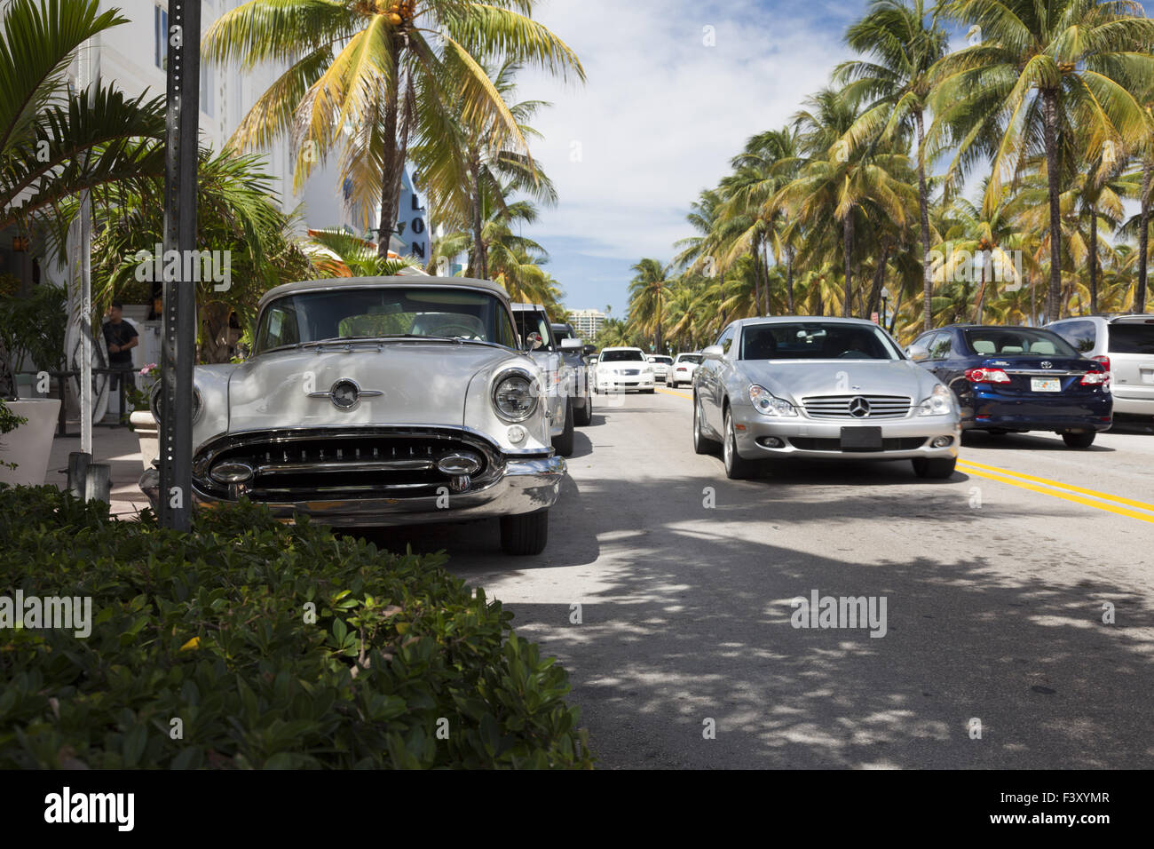 Palmen allee immagini e fotografie stock ad alta risoluzione - Alamy