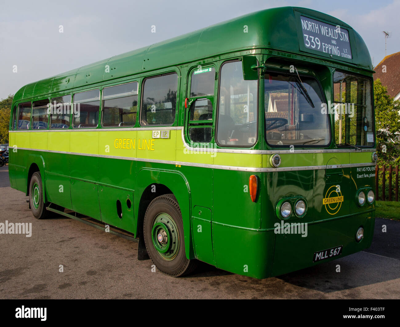 Linea verde immagini e fotografie stock ad alta risoluzione - Alamy