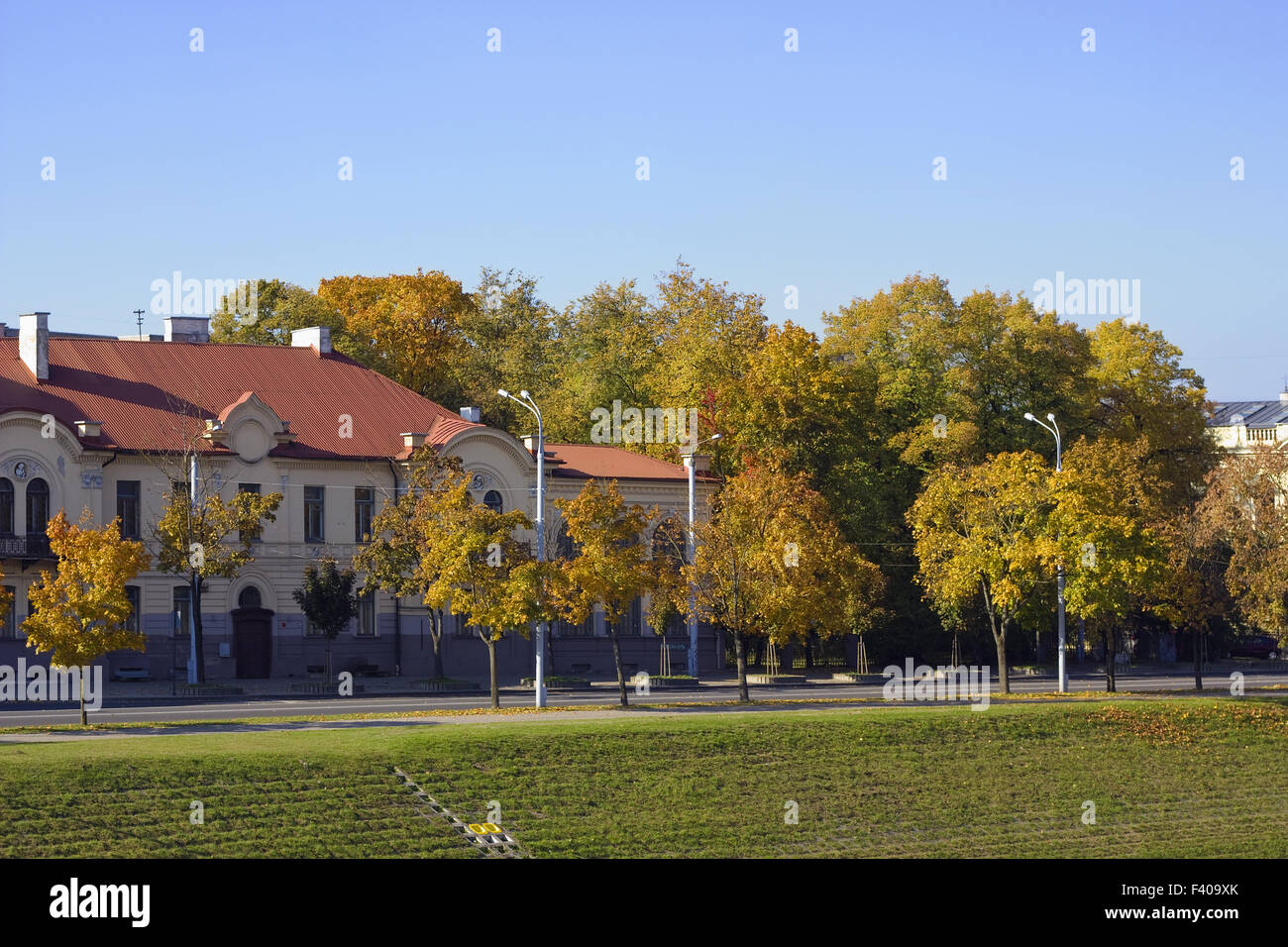 Gli aceri immagini e fotografie stock ad alta risoluzione - Alamy