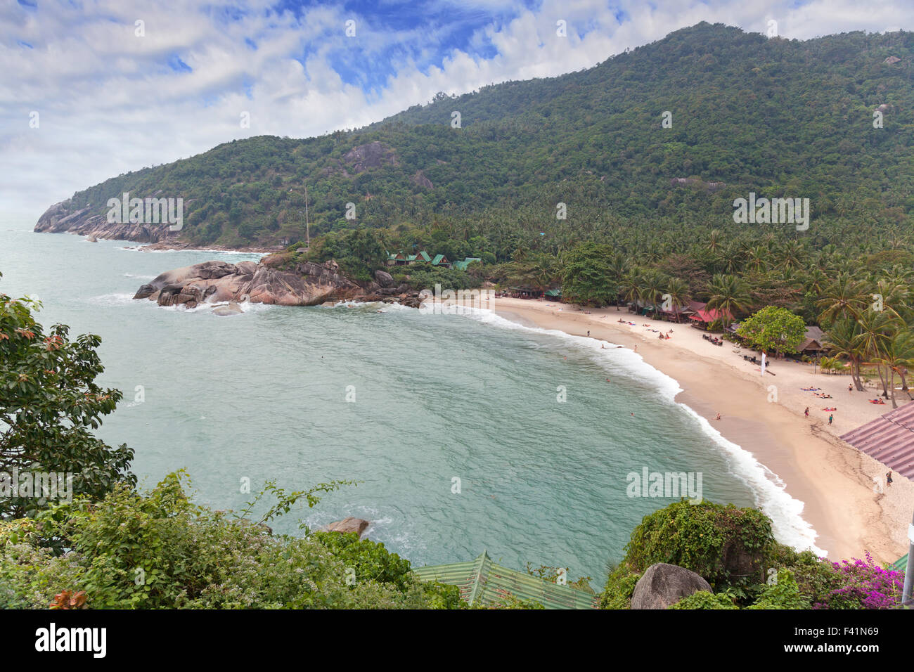 Palme da cocco immagini e fotografie stock ad alta risoluzione - Alamy
