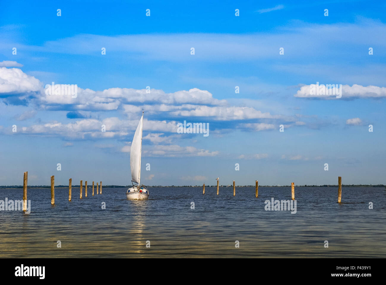 Lago neusiedl neusiedlersee immagini e fotografie stock ad alta ...