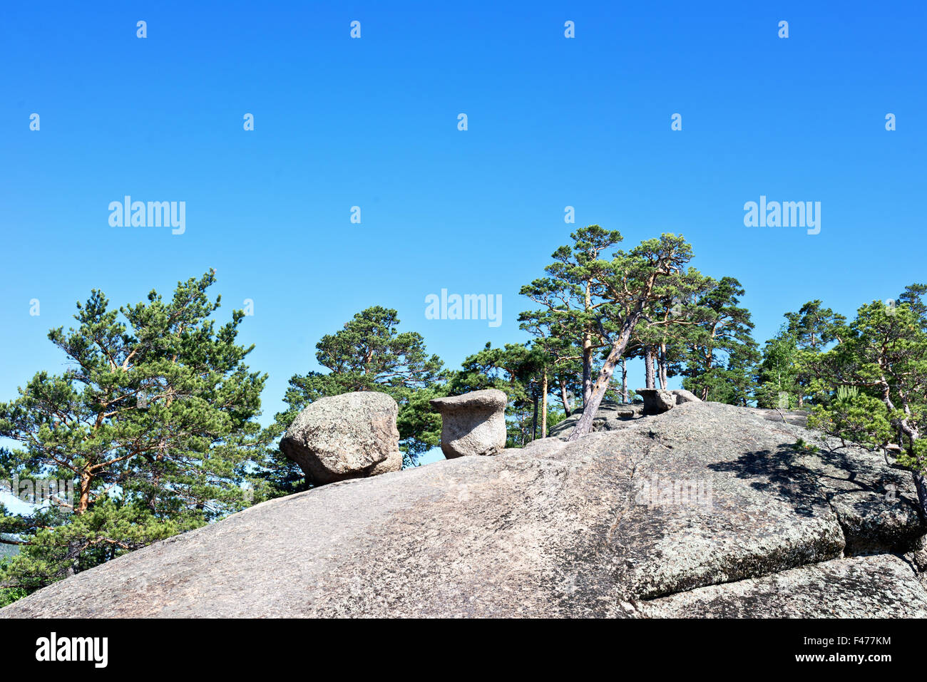 Pini di montagna immagini e fotografie stock ad alta risoluzione - Alamy