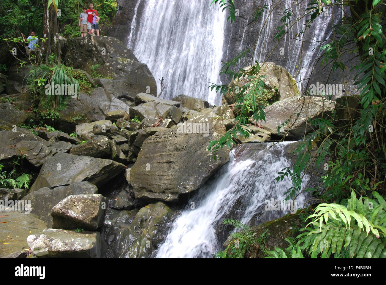 El yunque regenwald immagini e fotografie stock ad alta risoluzione - Alamy