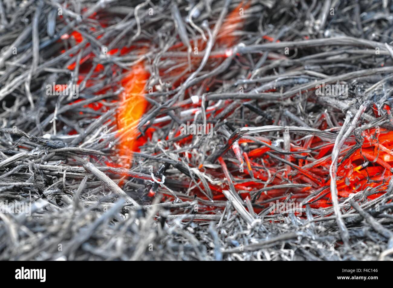 Fuoco ad effetto carbone immagini e fotografie stock ad alta ...