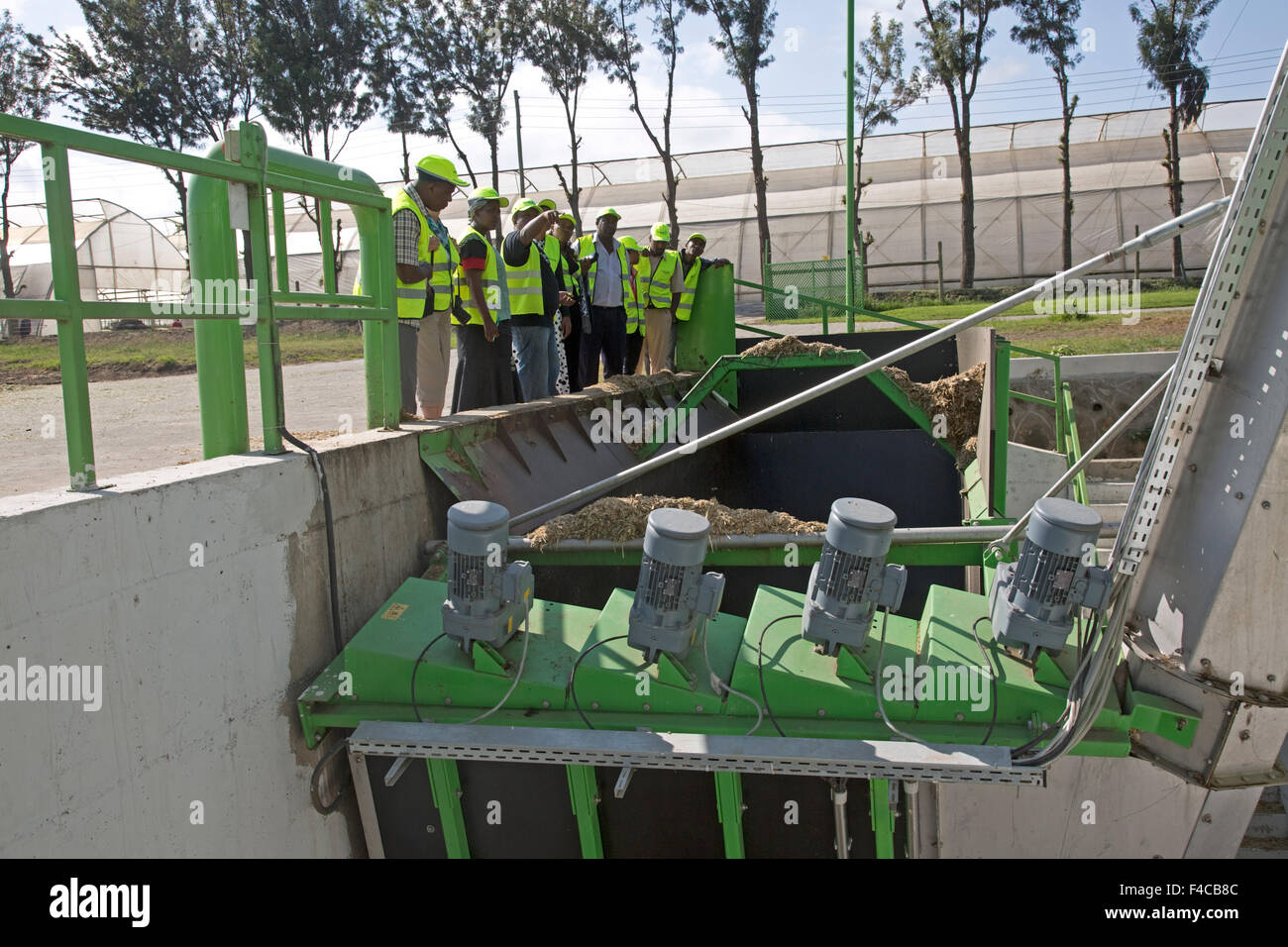 Gli insegnanti africani a 2,4 MW Biojoule biogas pianta la digestione ...