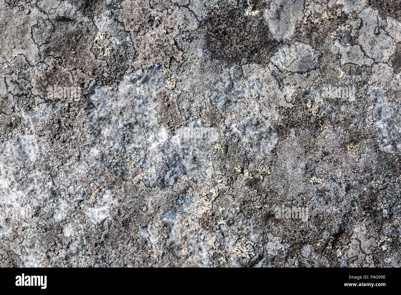 Roccia marna immagini e fotografie stock ad alta risoluzione - Alamy