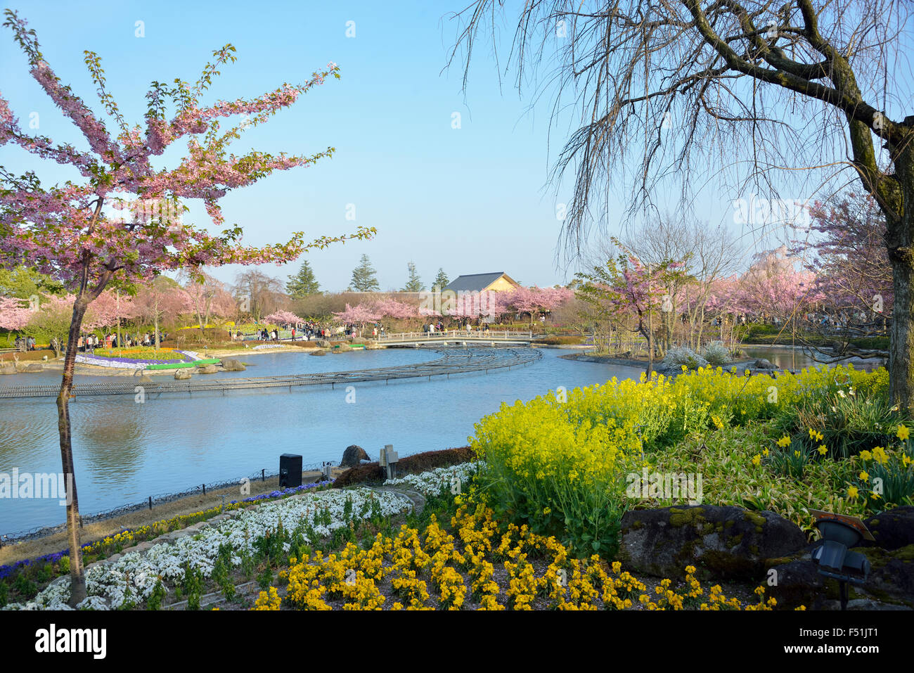 Parco a tema del giappone immagini e fotografie stock ad alta ...