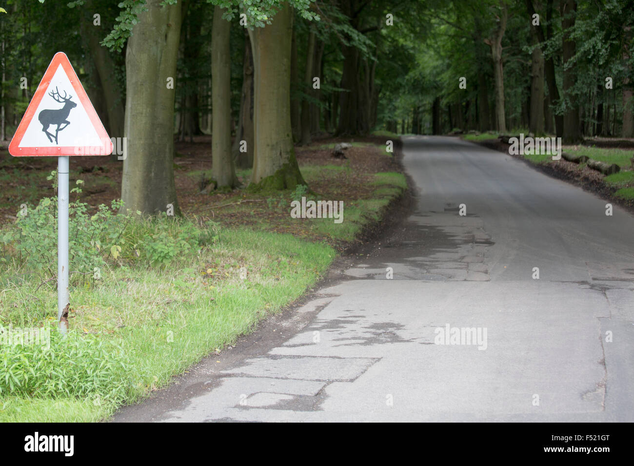 Cartello stradale dei cervi immagini e fotografie stock ad alta ...